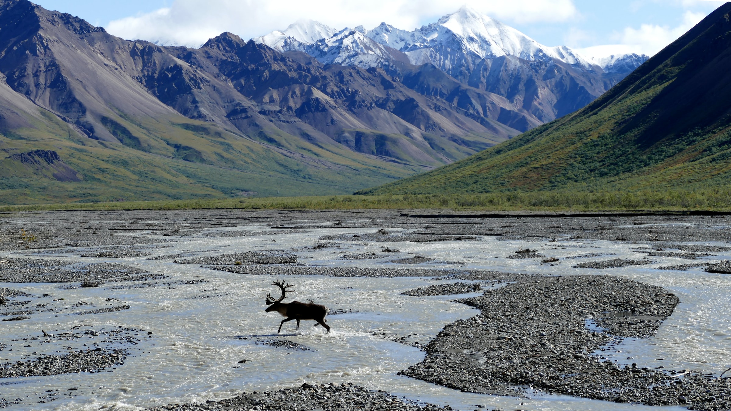 Drilling in Order for Pristine Wilderness Area - Humanist Environmental ...